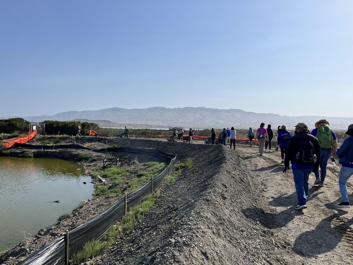 June - Planting for Pollinators in the Marsh #1, Don Edwards San ...