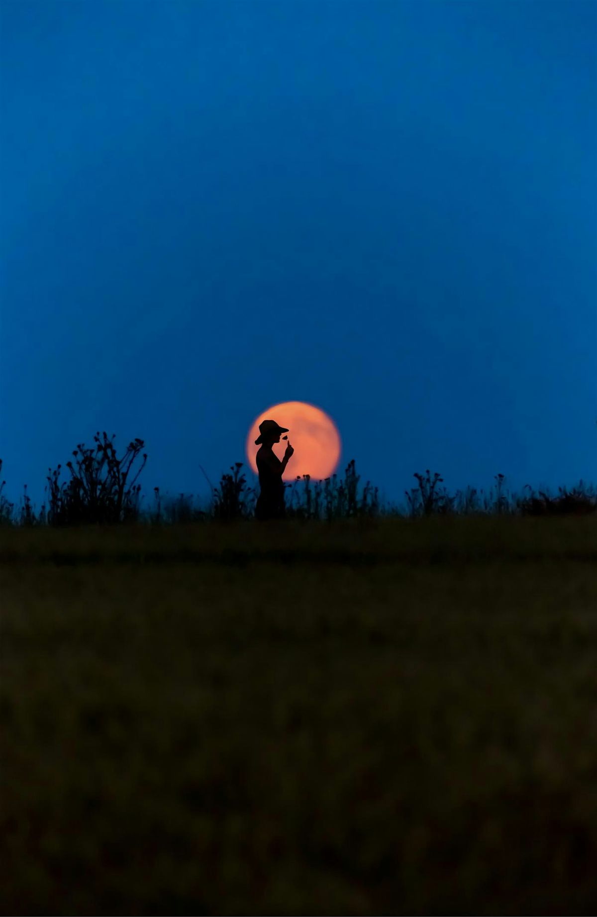 Summer Solstice ~ Full Moon Forest Bathing, Encinitas, 20 June 2024