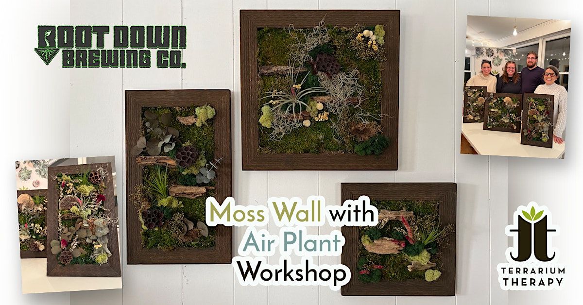In-Person Moss Wall with Air Plant Workshop at Root Down Brewing Co ...