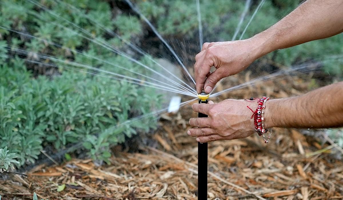 Comprehensive Irrigation for California Native Plants with Tim Becker ...