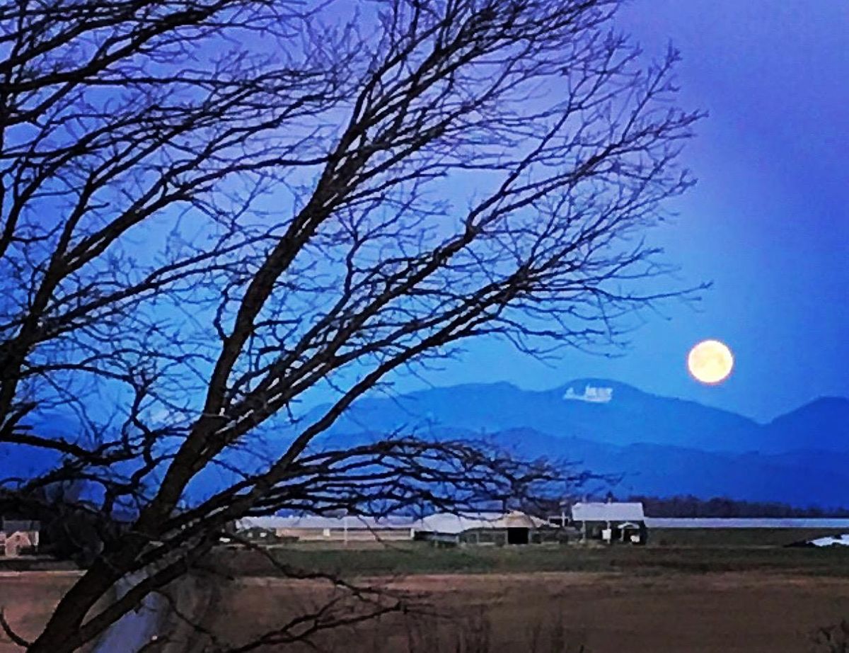 REVISED DATE OF 2022 Maple Moon Event, Common Roots - Wheeler Homestead ...