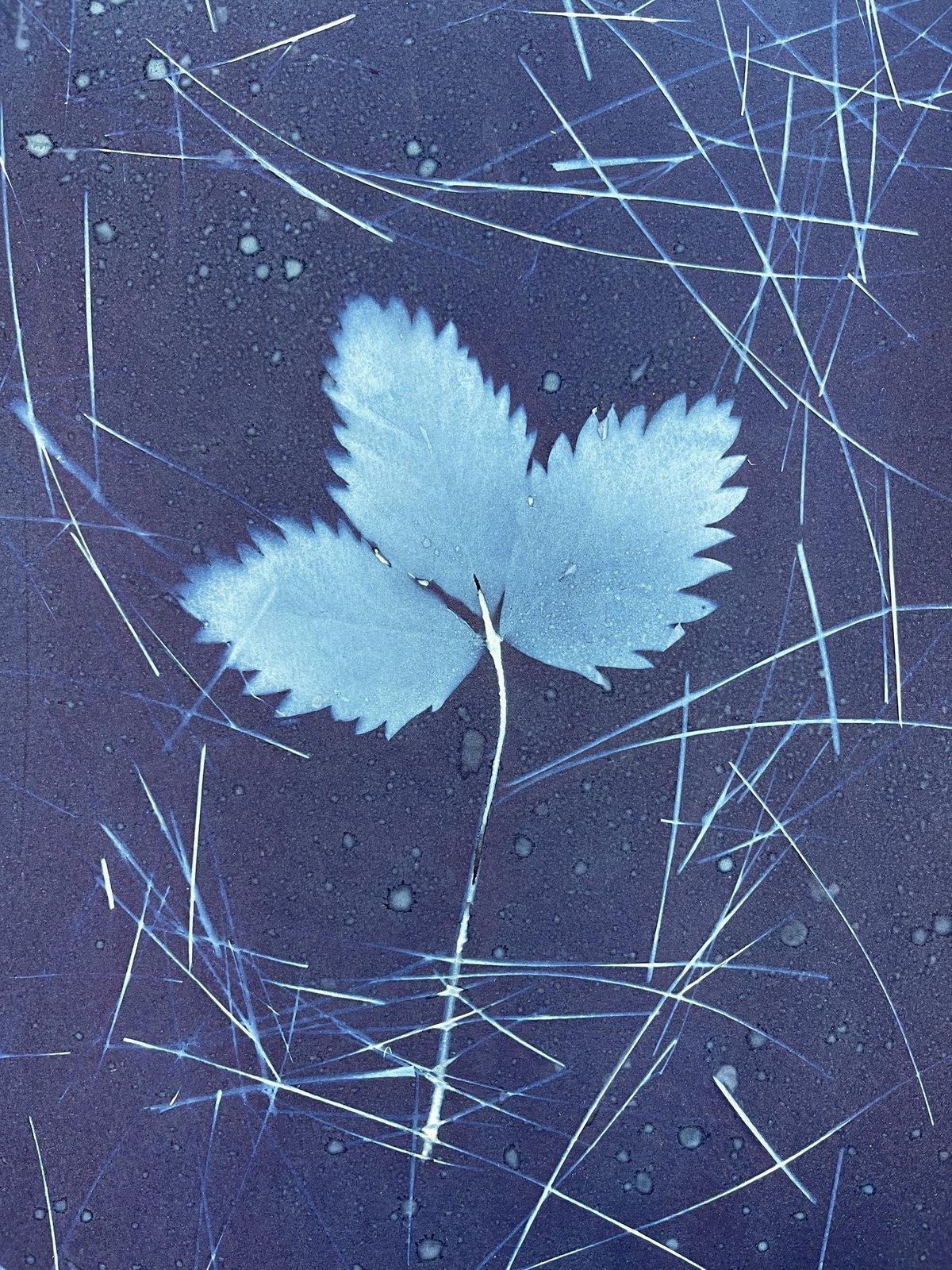 Introduction to Cyanotypes Workshop, Nutbrook Studios, London, 7 August ...
