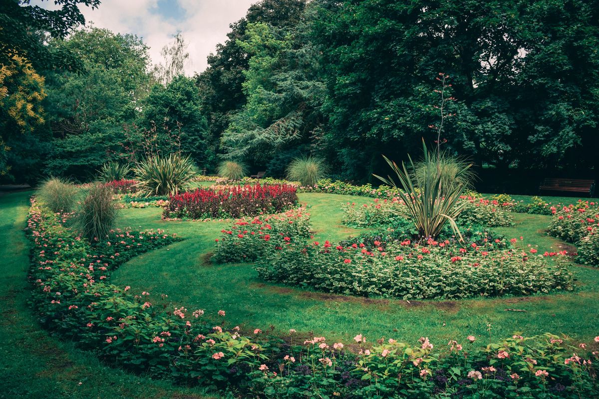 Wellbeing Wildlife Walk - Nottingham Arboretum, Arboretum, Nottingham ...