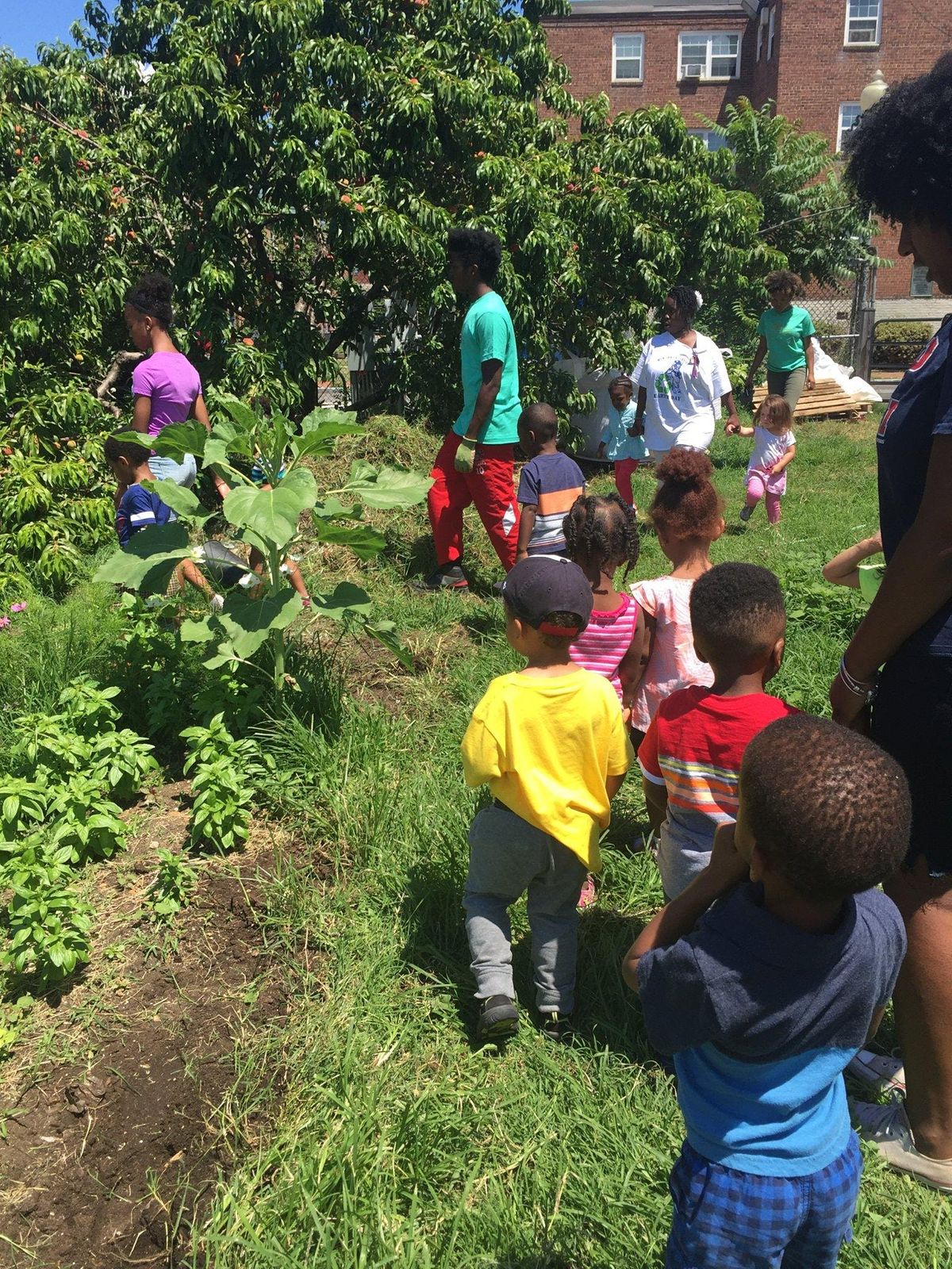 2022 Field Trip Registration Common Good City Farm Washington 5
