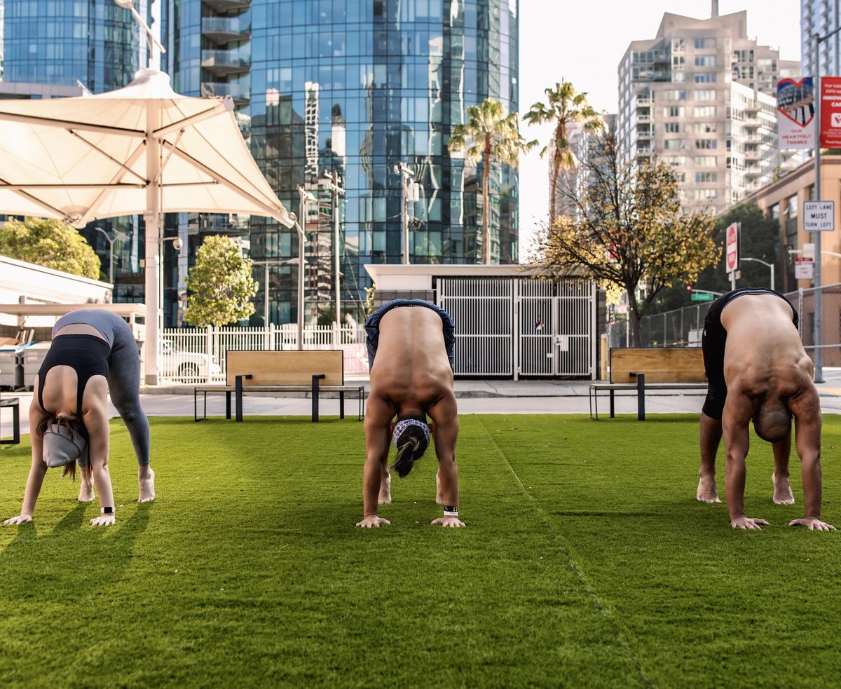 4-Week Animal Flow Progressive Course, DIAKADI Fitness Performance Life ...