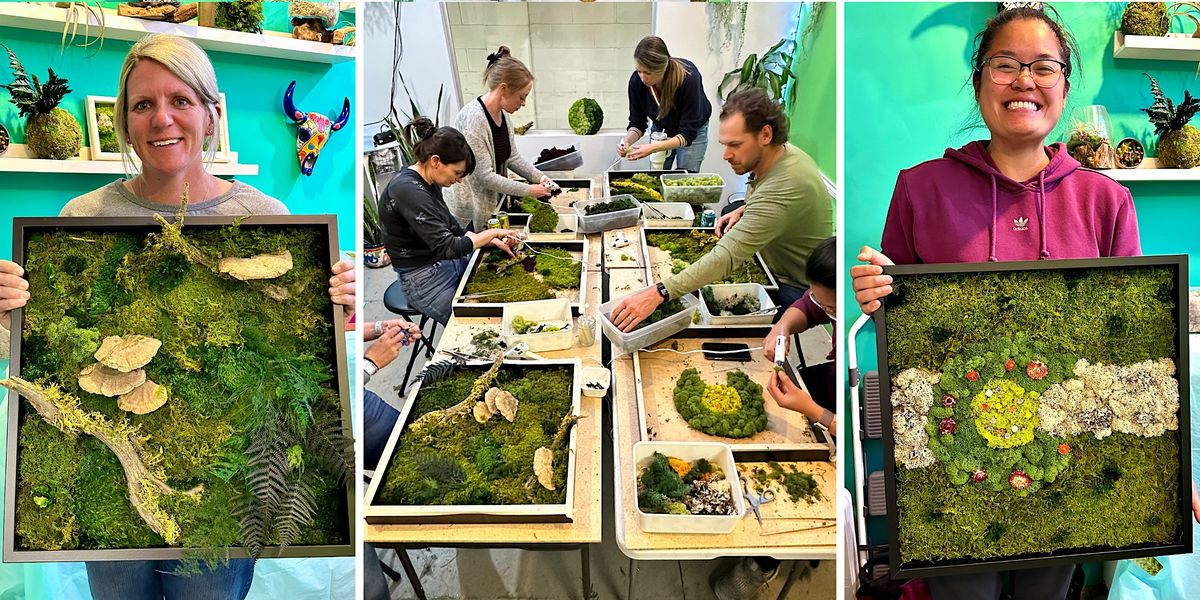 No-water Moss Wall Art Workshop - 20" x 20" frame, Green Lady Gardens Studio, Denver, 1 October 2023