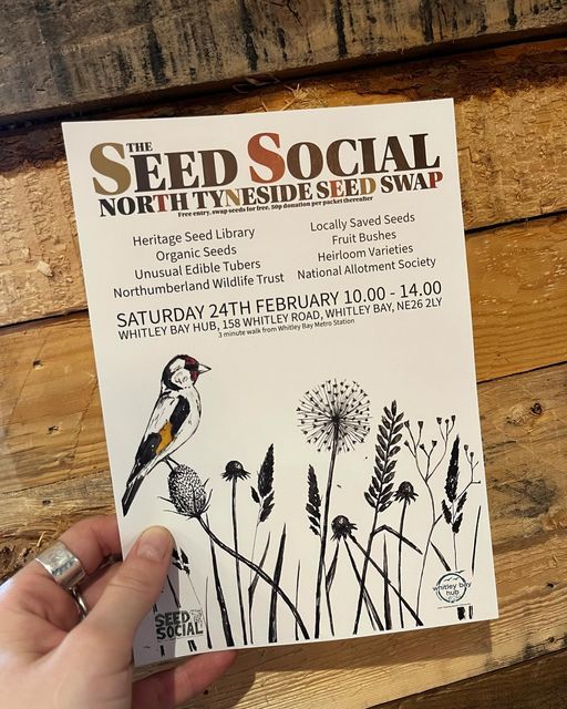 The Seed Social, 158 Whitley Road NE26 2LY Whitley Bay, United Kingdom ...