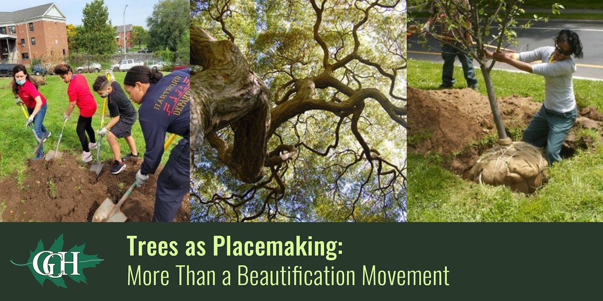 Trees as Placemaking: More Than a Beautification Movement, Hartford ...