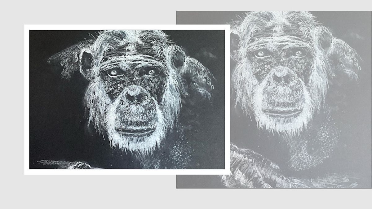Learn White-on-Black Drawing: The Wise Ape, Aloft Calgary University Hotel (Lounge & Bar), 15 ...
