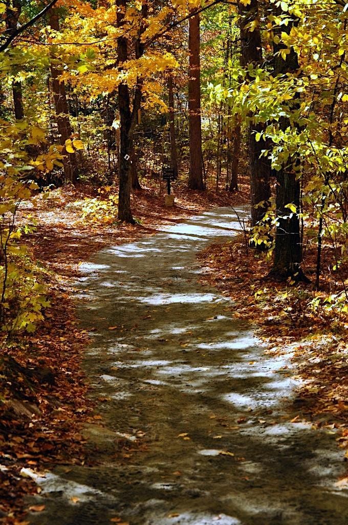 Trail Building 101 for Property Owners, Eagles Nest Park Road, Bancroft ...
