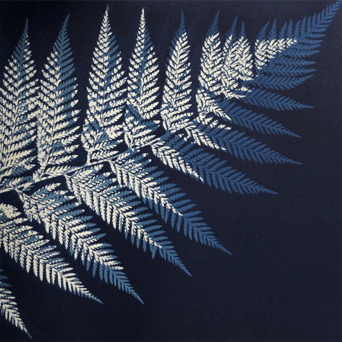 Introduction to Cyanotypes w/ Amanda Cioffi, Shop Made in VA ...