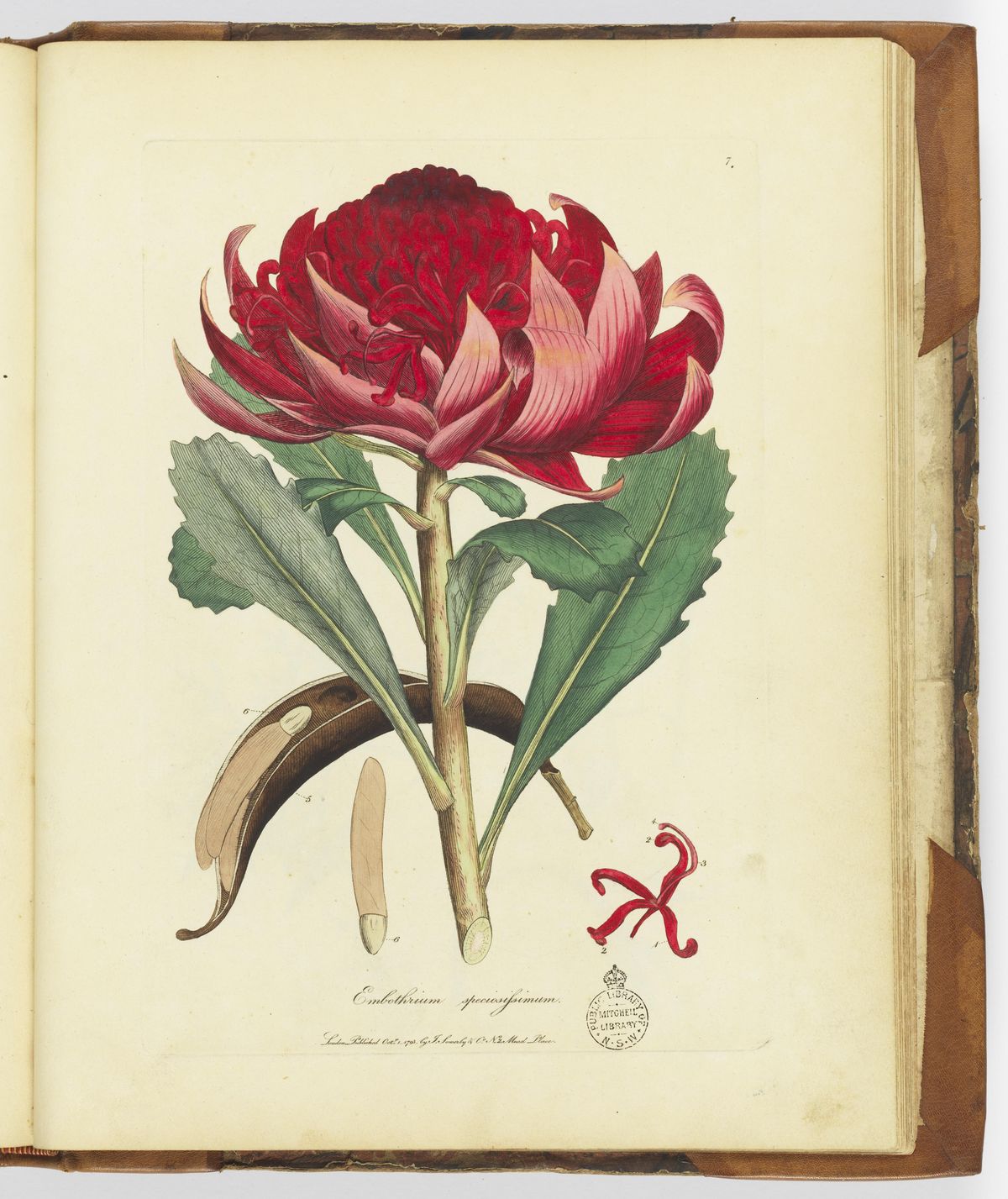 Exploration, Empire and a Revolution in the Natural History of the ...