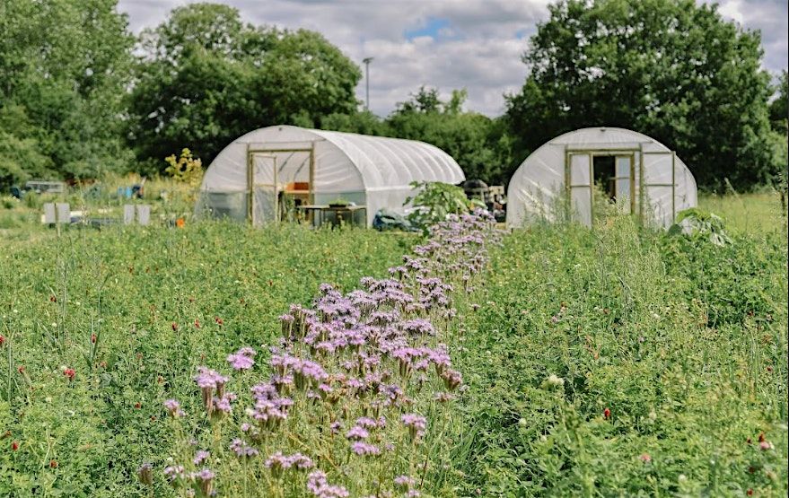 Barnet Council visit to GROW Farm, The GROW FARM @ The Totteridge ...