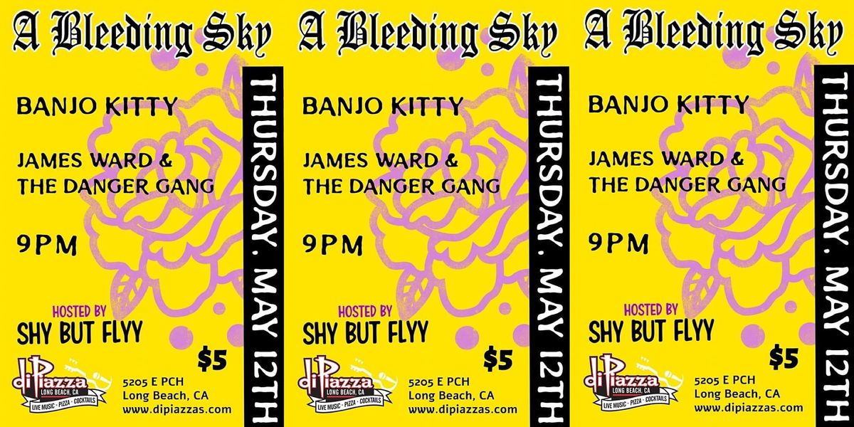 ShyButFlyy Presents! A Bleeding Sky, BanjoKitty, JamesWard ...