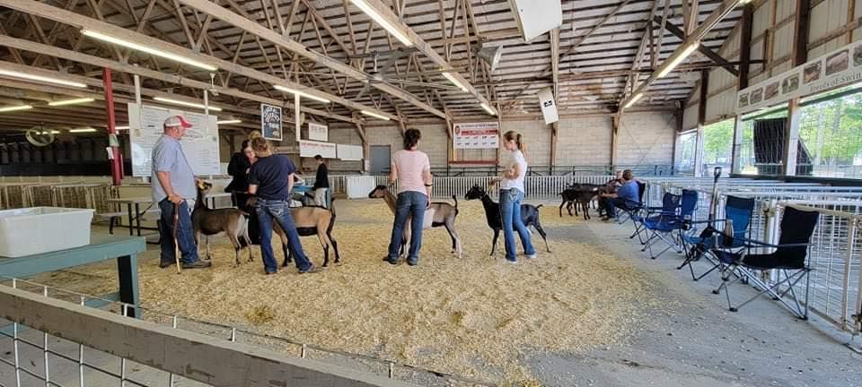 WDGA Badger Stateline Show, Walworth County Fairgrounds, Elkhorn, 26 ...