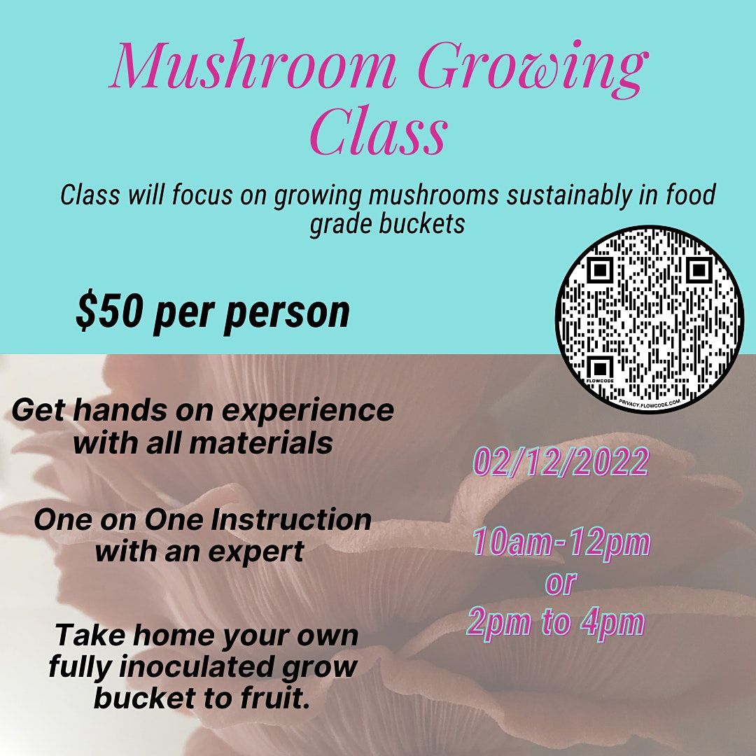 Mushroom Growing Class Series: Sustainable Bucket Technique, Hillside ...