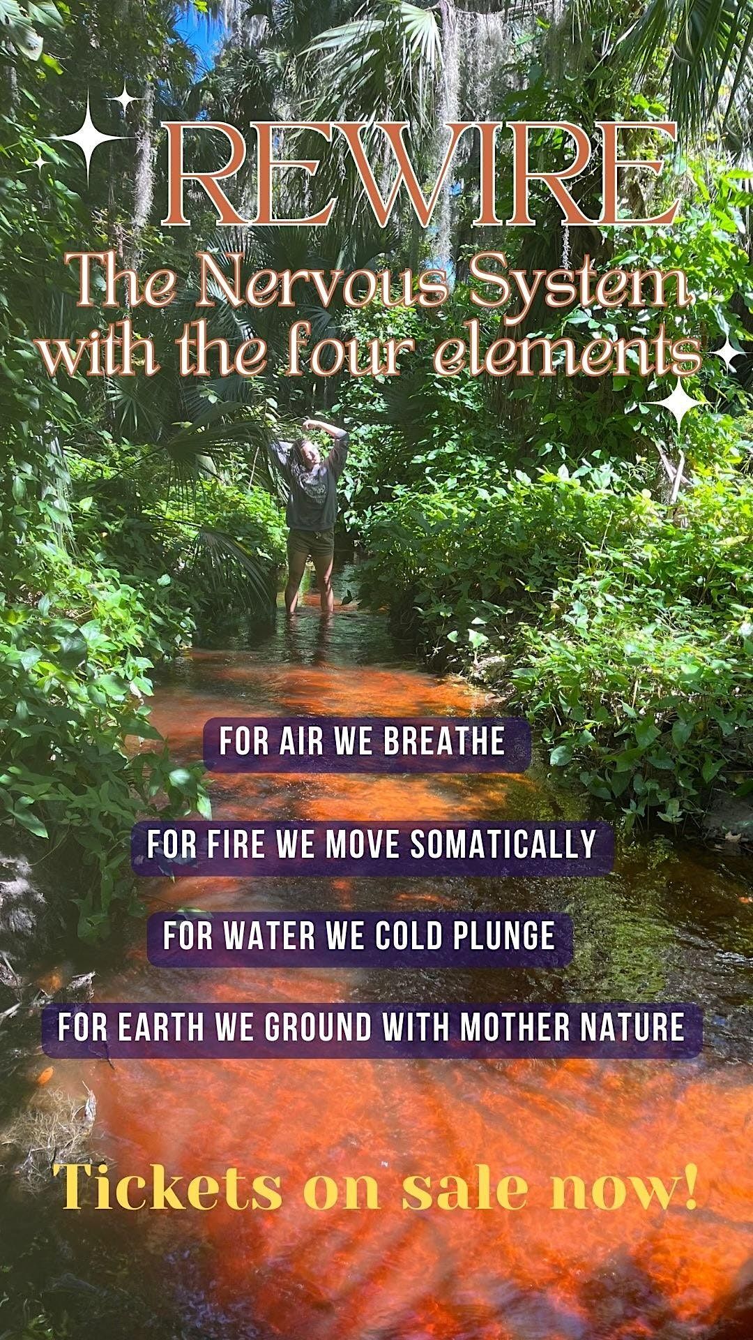 Rewire the Nervous System with the Four Elements TM, 11361 161st St N ...