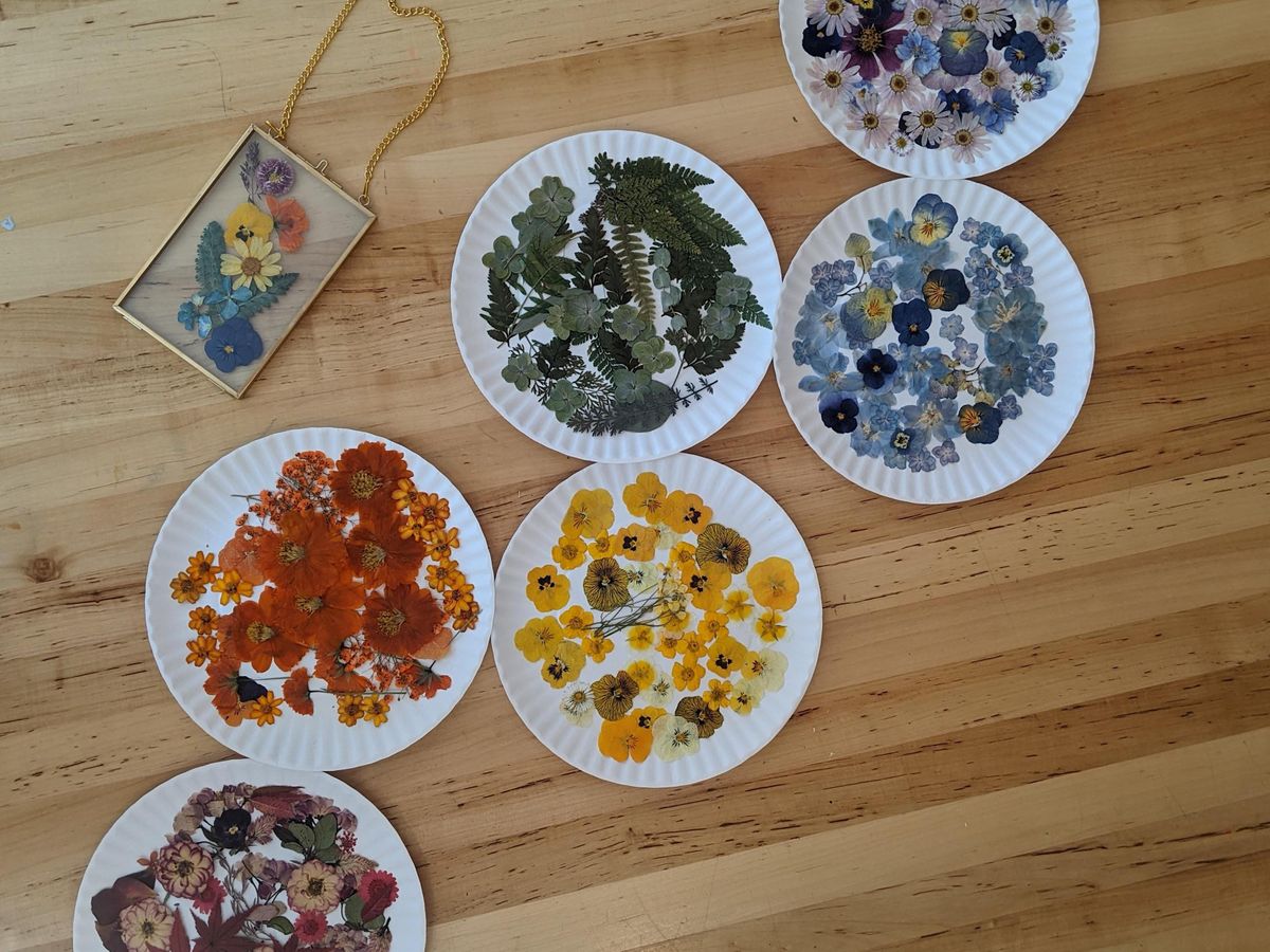 Rainbow Pressed Flower Frame Workshop with Wildry, Shop Made in DC ...