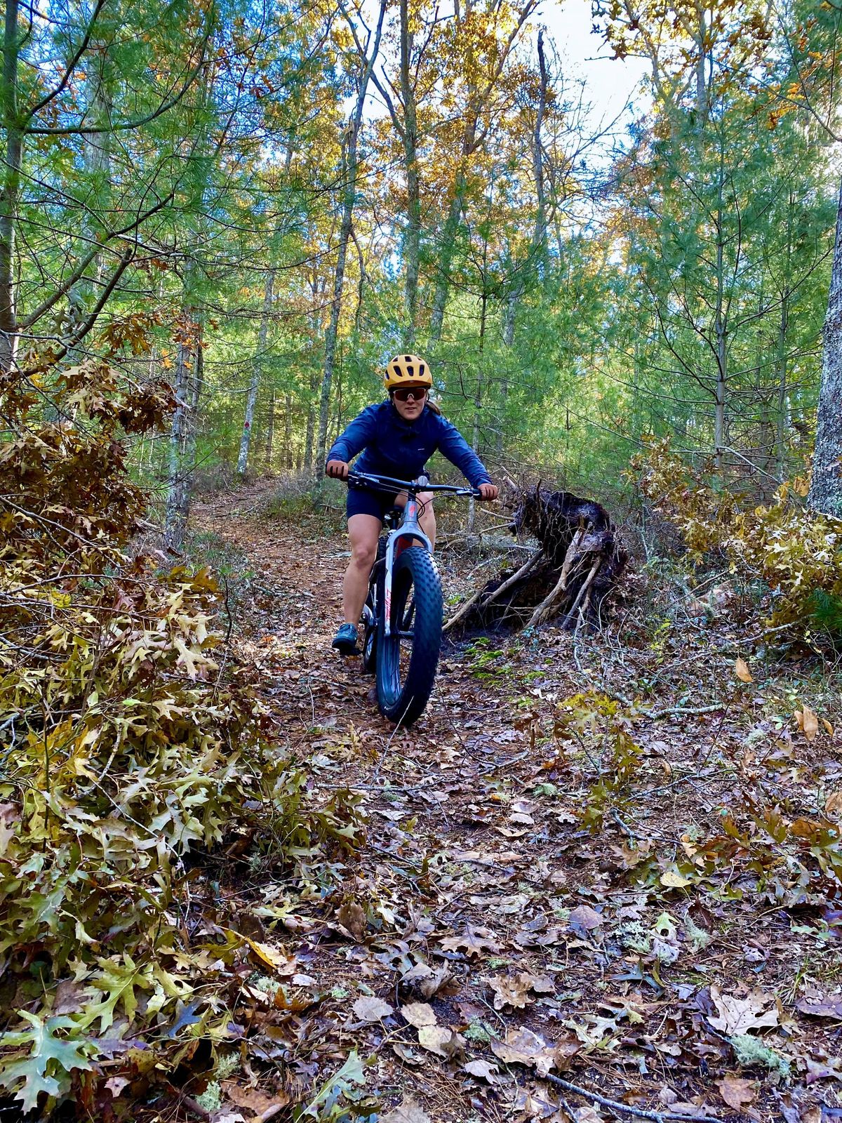 Wildlands x NEMBA: Jingle Bell Ride!, Davis-Douglas Farm, Plymouth, 5 ...