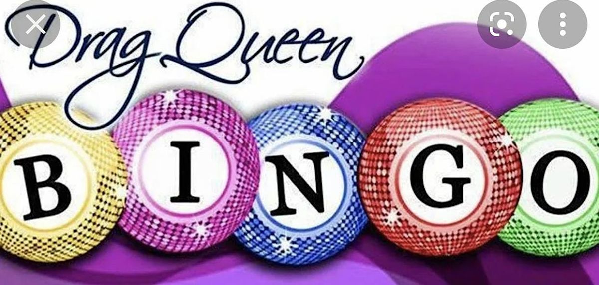 Drag Queen Prizes Bingo Fundraiser For The Hercules Foundation, Donna's Tavern & Restaurant ...