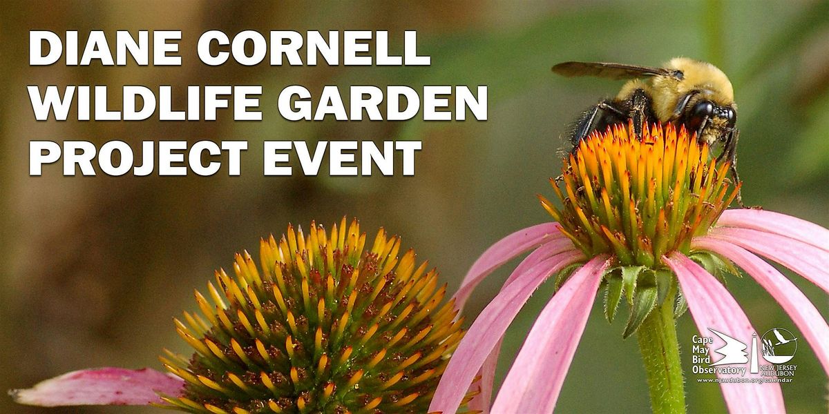 Heather Holm: The Pollination of Native Plants, Cape May Point Science Center, 1 June 2024