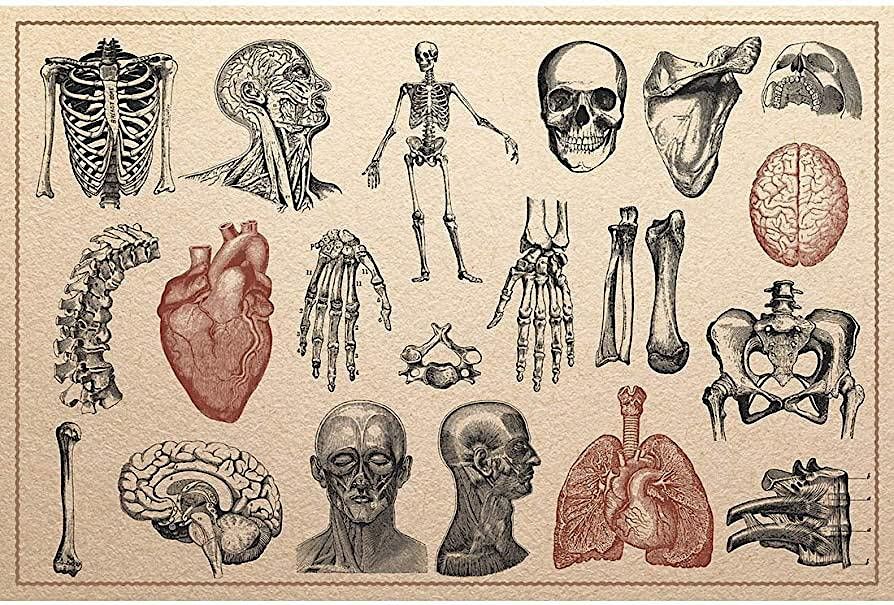 Lab Exam 1, BYU Life Sciences Building, Provo, 23 February 2023