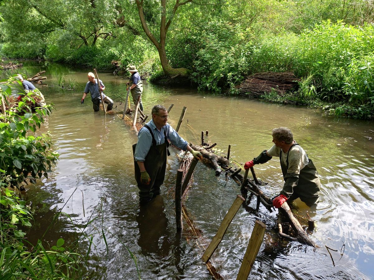 Biodiversity Action Team session at Crane Park, River Crane Brick (Shot ...