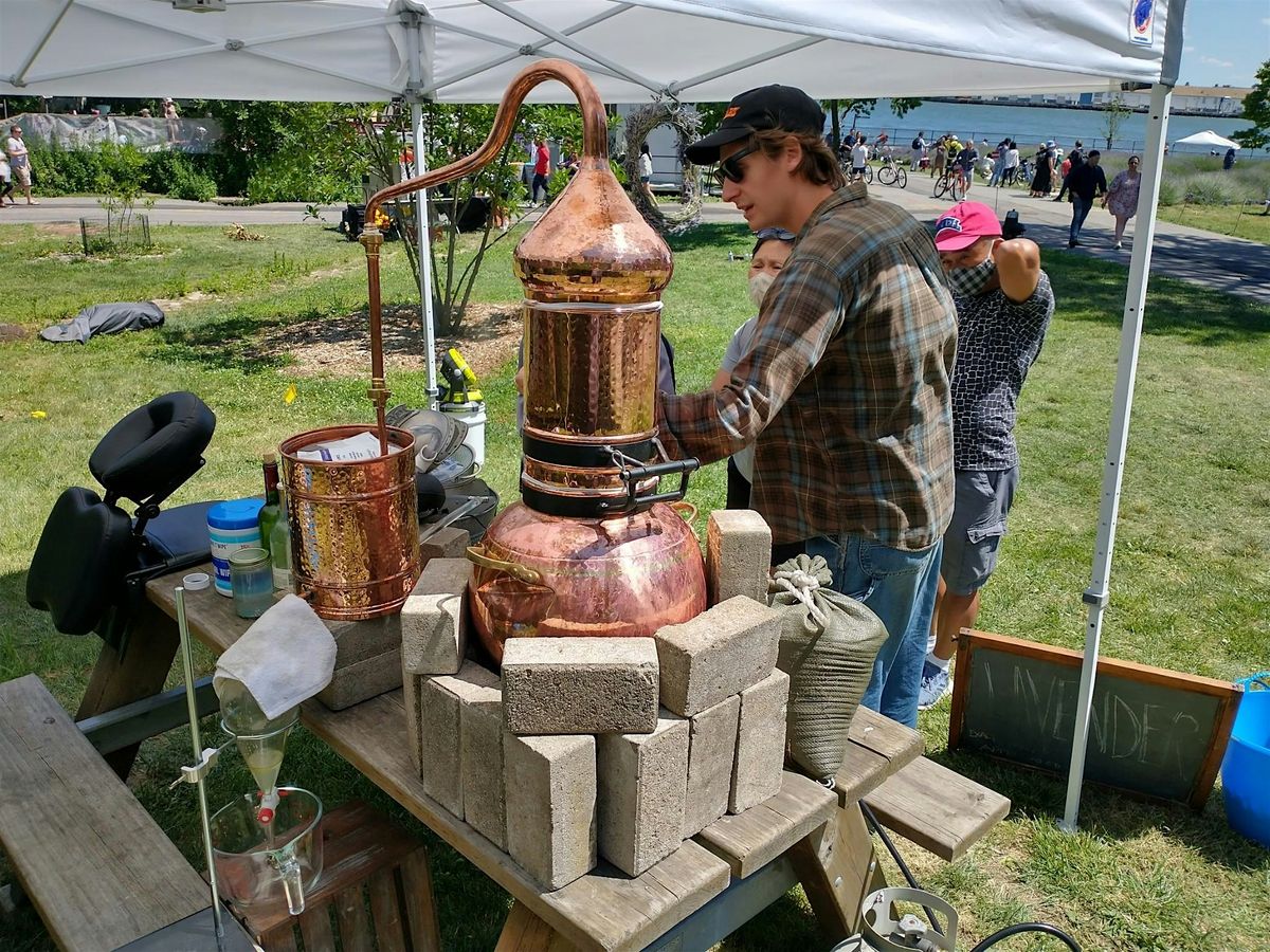 2024 NYC Lavender Festival : Distillation Demonstration, The NYC ...