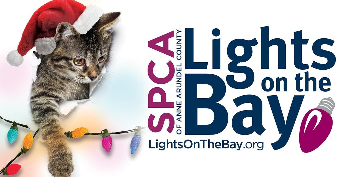 Lights On The Bay 2021, Sandy Point State Park, Annapolis, 21 November ...