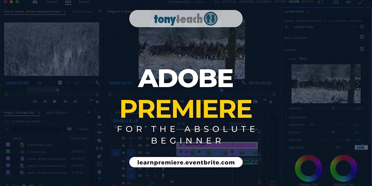 Adobe Premiere Pro Masterclass for Absolute Beginners [E], Online, 26 February to 29 April