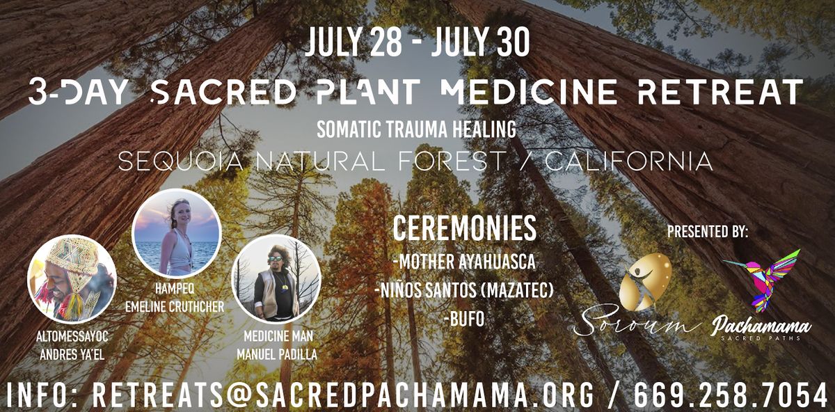 3 - Day Sacred Plant Medicine Retreat, Phoenix, 28 July to 30 July