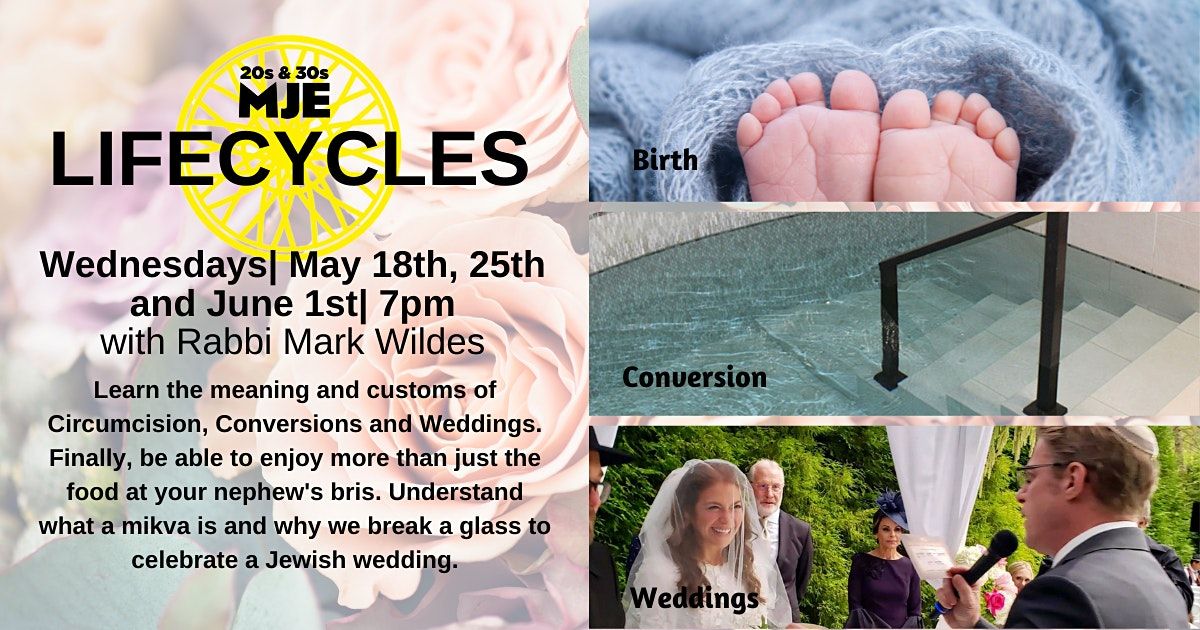 Wednesday Night Life Cycles Class Series with Rabbi Mark Wildes ...