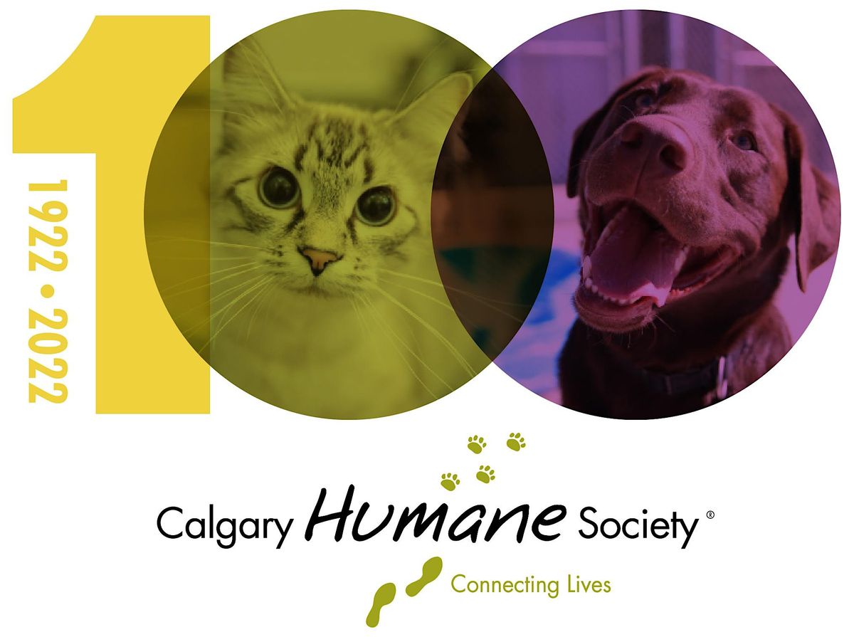 Senior Animal Ambassadors (Fall 2022) Ages10 - 12, Calgary Humane ...