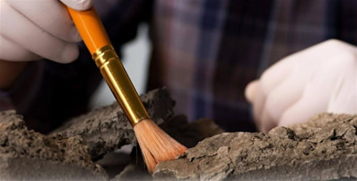 Burpee Museum BSA: Archaeology Merit Badge - In Person, Burpee Museum ...