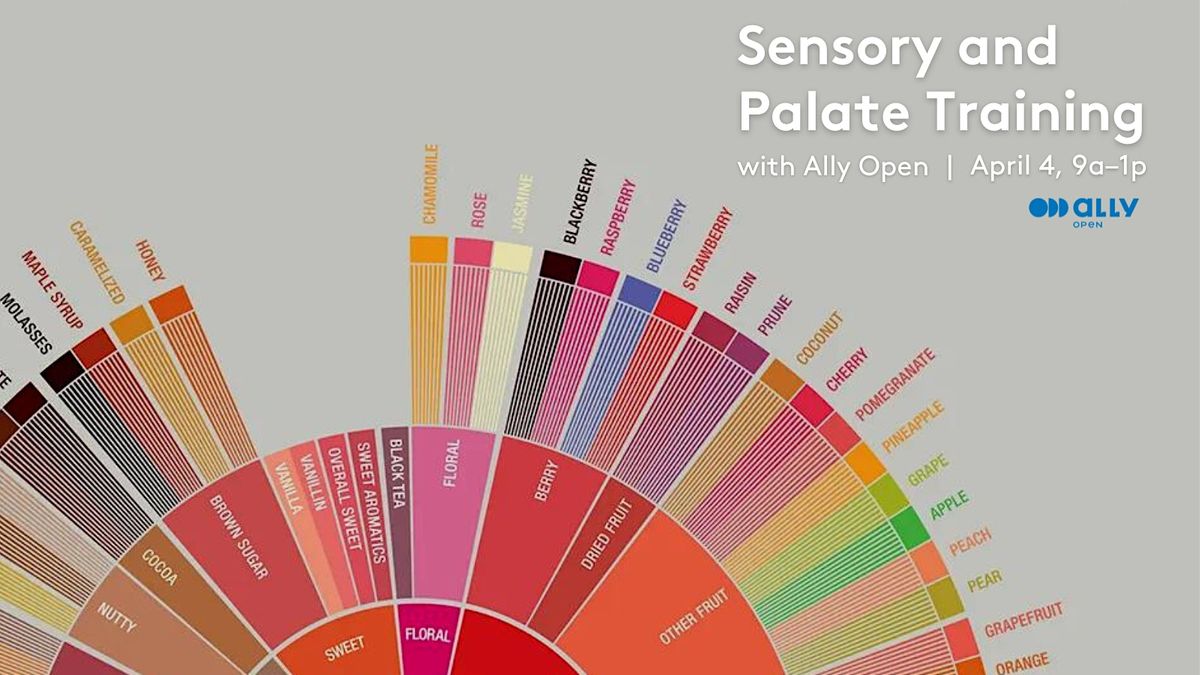 Sensory and Palate Training with Ally Open, Ally Coffee US HQ ...