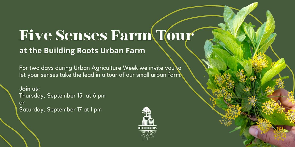 Five Senses Urban Farm Tour September 15th, Ashbridge Estate, Toronto ...