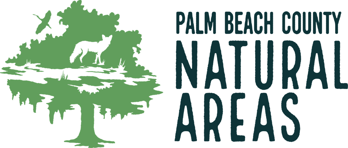 Adventure Awaits - Learn About Aquatic Flora via Kayak @ Loxahatchee ...