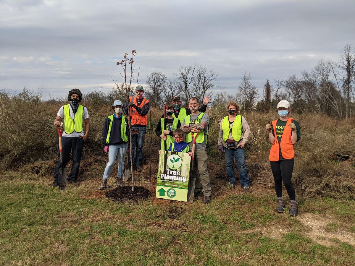 Tree Maintenance at Foxhall Farm Site, Foxhall Farm Planting Site ...