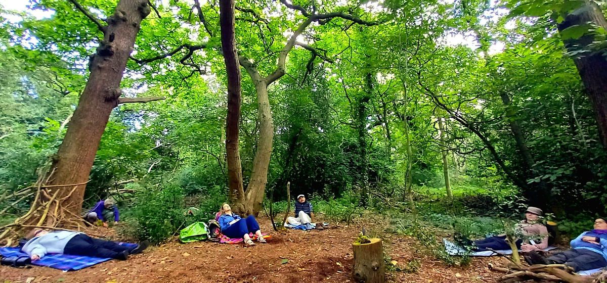 Forest Bathing+: a mindfulness-based session to relax the body and mind ...