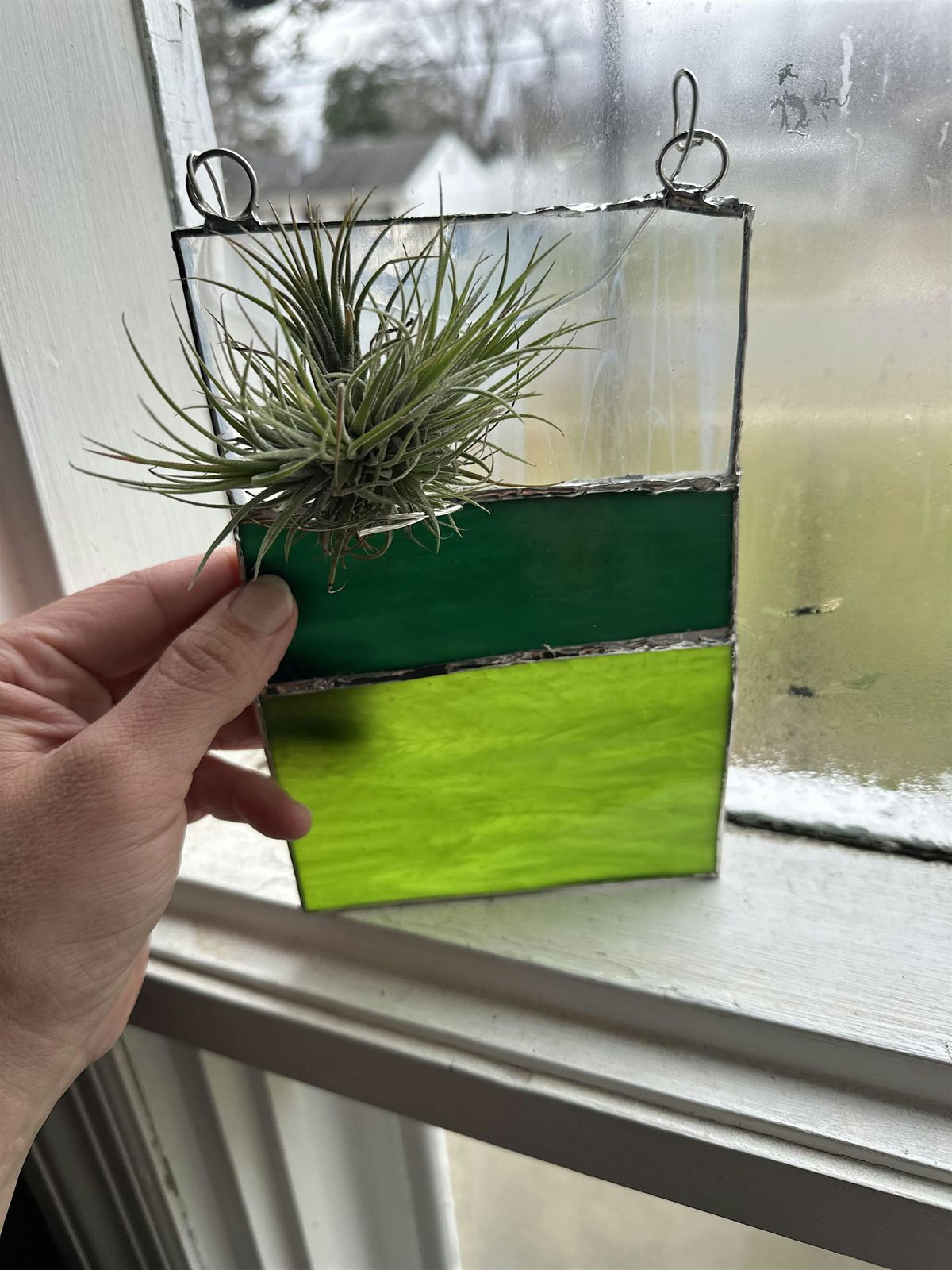 Make Your Own Stained Glass Air Plant Hangar, The Potted Palm ...
