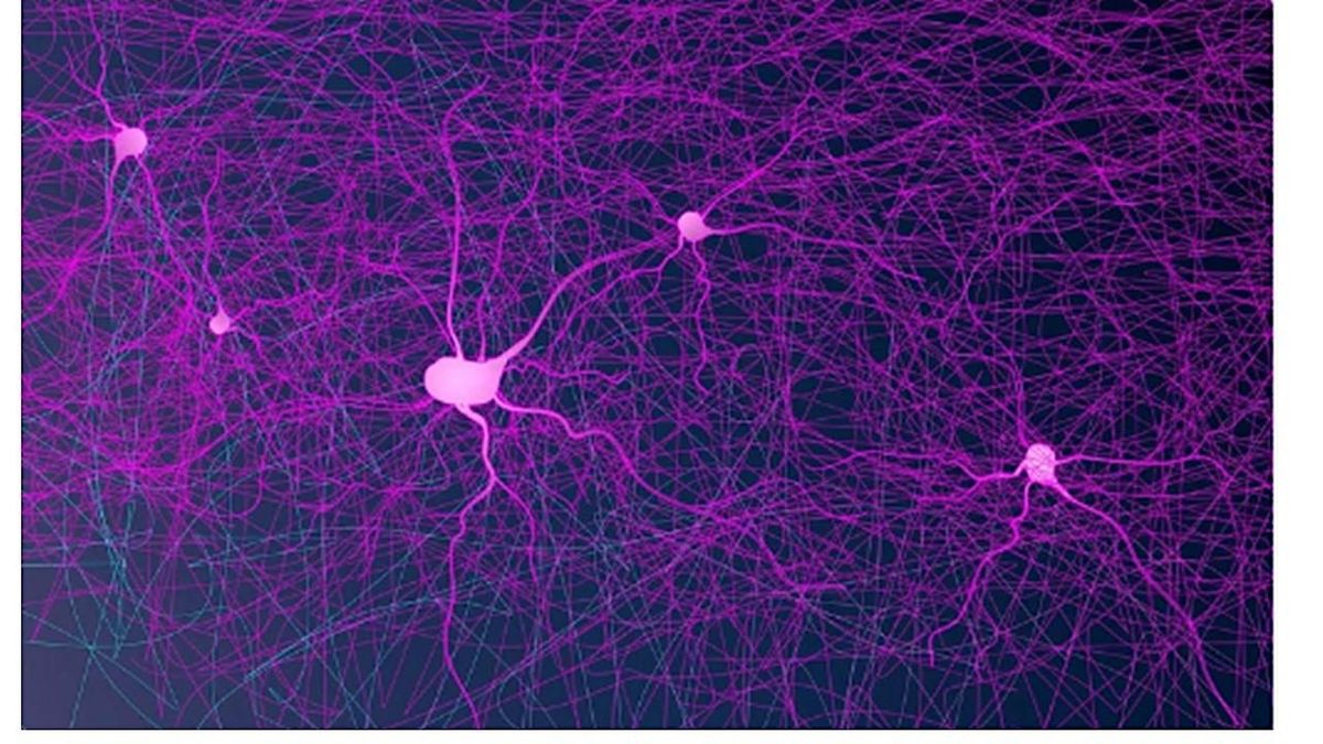 Nanomaterial Implants + Stem Cells + Electrical Stim = Stroke Treatment ...