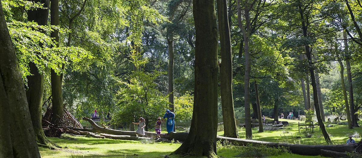 Marvellous Mushrooms with Ali The FUNgi Guy, National Trust -Longshaw ...