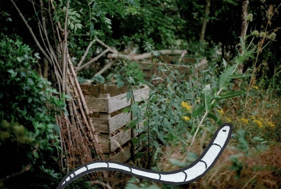 Down to Earth: Co-Designing an Accessible Compost Toilet, Mile End ...