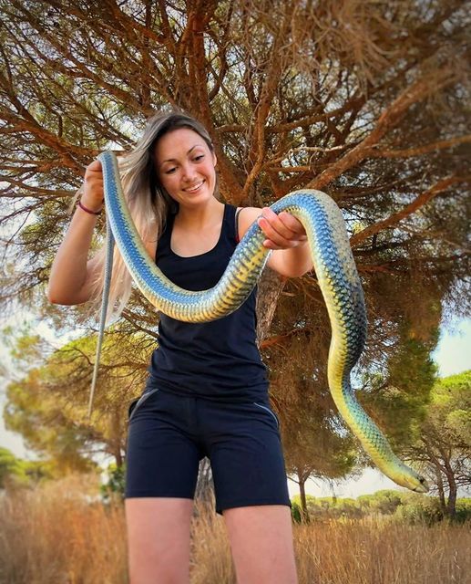 Sterrin - Superhelden van het dierenrijk (6+), De Stadsgehoorzaal ...