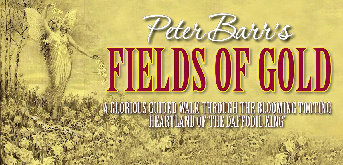 Peter Barrs Fields of Gold Tooting Daffodil Walk, Streatham Cemetery ...