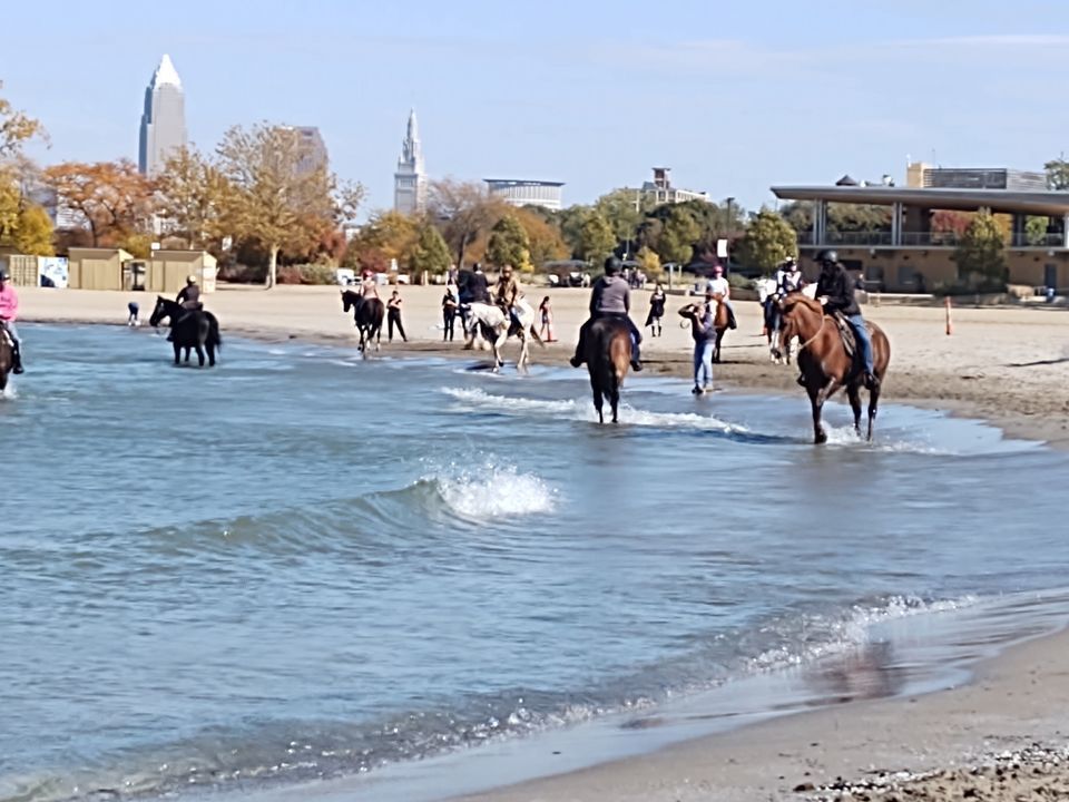 Ride the Beach with Cleveland Metroparks Mounted Police, Edgewater ...