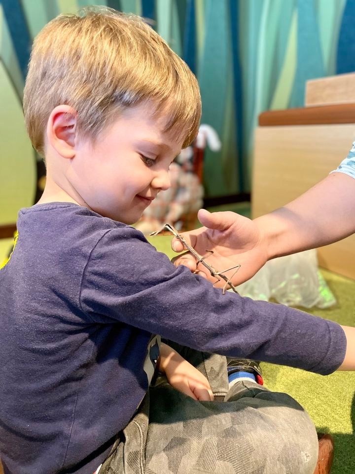 Minibeasts! - Insect Investigation with Phil the Bug Man, Herdsman Lake ...