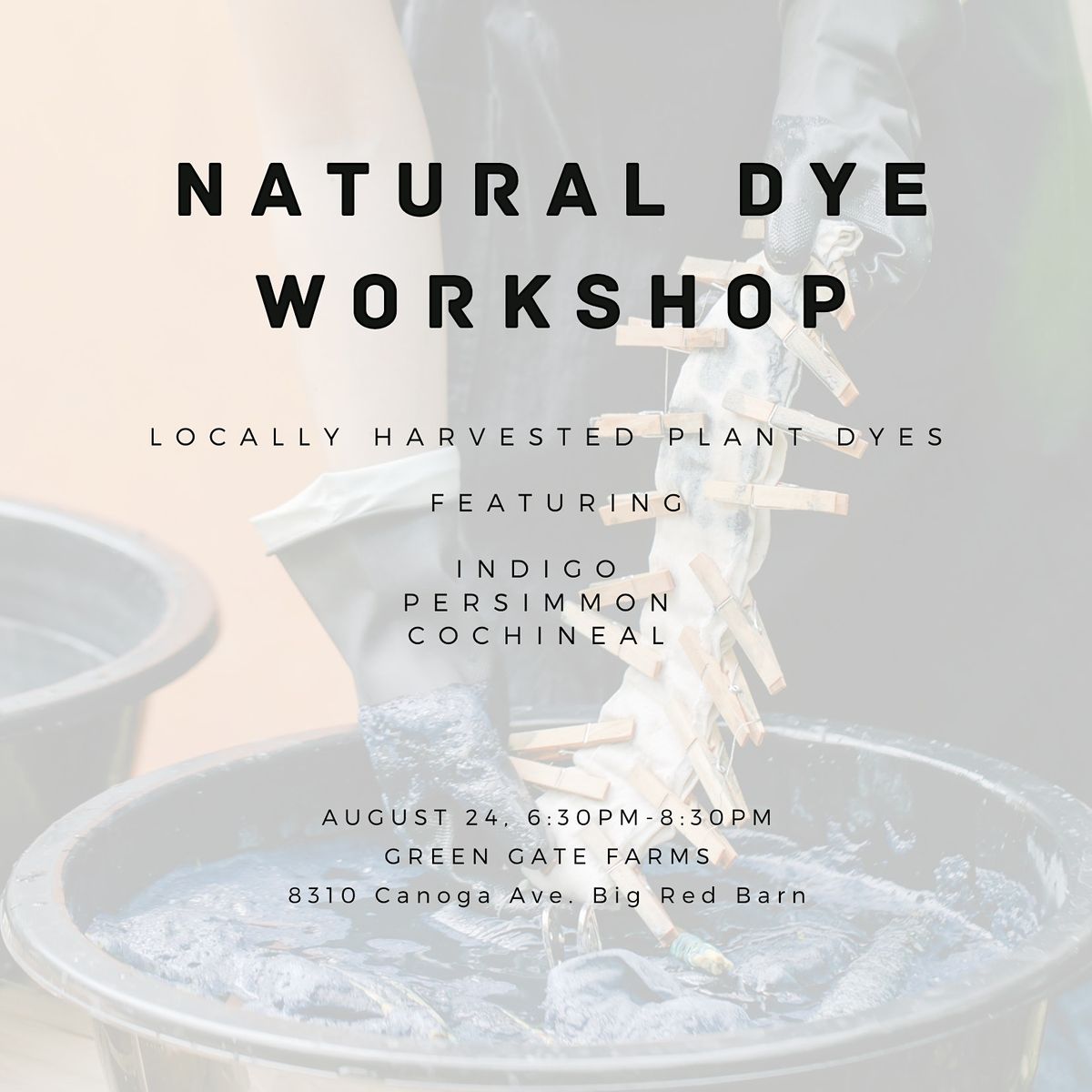 Natural Dye Workshop, 8310 Canoga Ave, Austin, 24 August 2022
