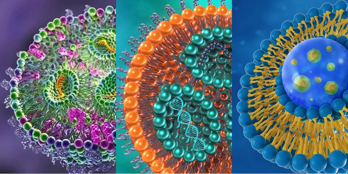 Michael J. Mitchell Gives 2023 Kraut Guest Lecture in Chemical Engineering, Frederick P. Rose ...