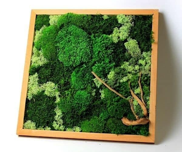 Moss Wall Art Workshop, Neva lee's, Lansing, 9 March 2023